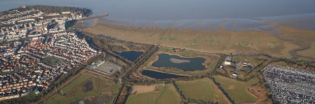 Salt Marsh - Friends of Portbury Wharf Nature Reserve