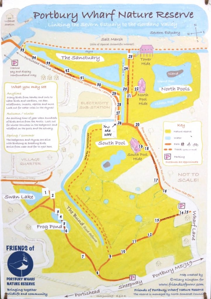 Nature Trails - Friends of Portbury Wharf Nature Reserve
