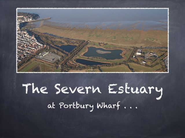 Home - Friends of Portbury Wharf Nature Reserve