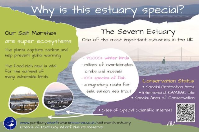 Severn Estuary - Friends of Portbury Wharf Nature Reserve