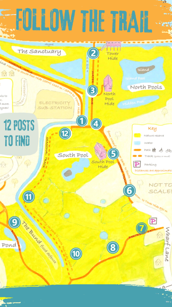 Wetlands Trail - Friends of Portbury Wharf Nature Reserve
